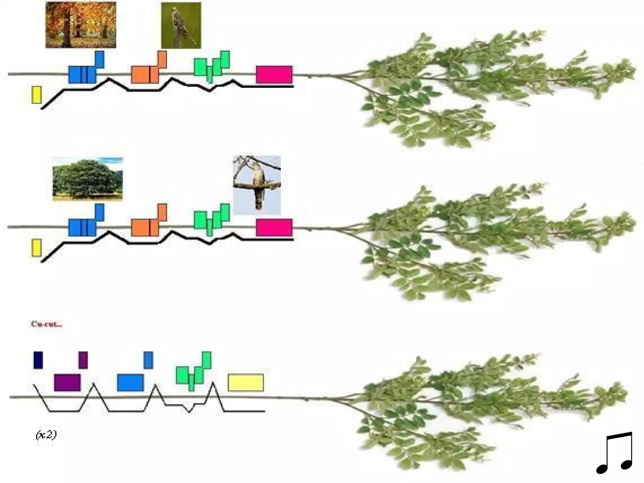 El cucut (PPT) | PPT