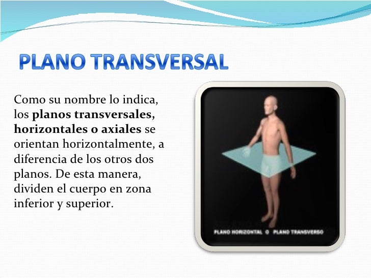 El Cuerpo Humano 1