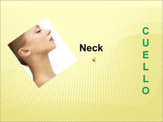 El cuerpo humano | PPT