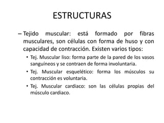 El cuerpo humano | PPTX