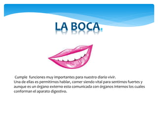 El cuerpo humano | PPTX
