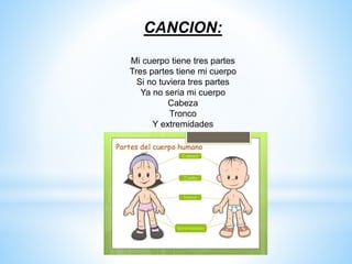 El cuerpo humano | PPTX