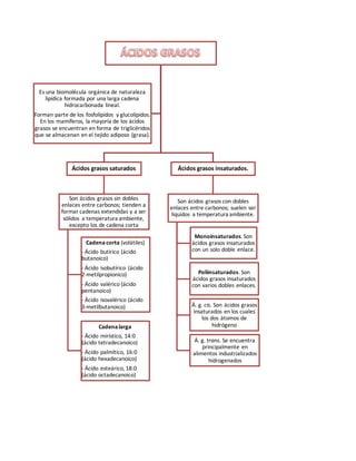 Composición del cuerpo humano | DOCX