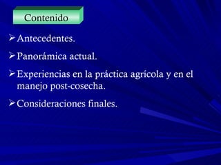 El cultivo del cacao en cuba | PPT
