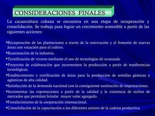 El cultivo del cacao en cuba | PPT