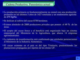 El cultivo del cacao en cuba | PPT