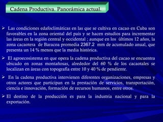 El cultivo del cacao en cuba | PPT