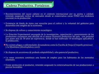 El cultivo del cacao en cuba | PPT