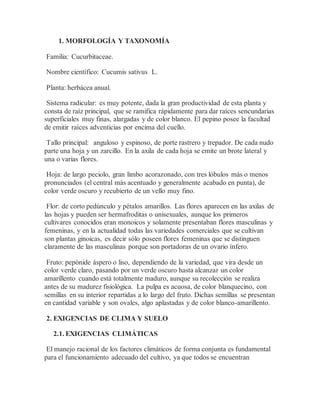 El cultivo del pepino | DOCX