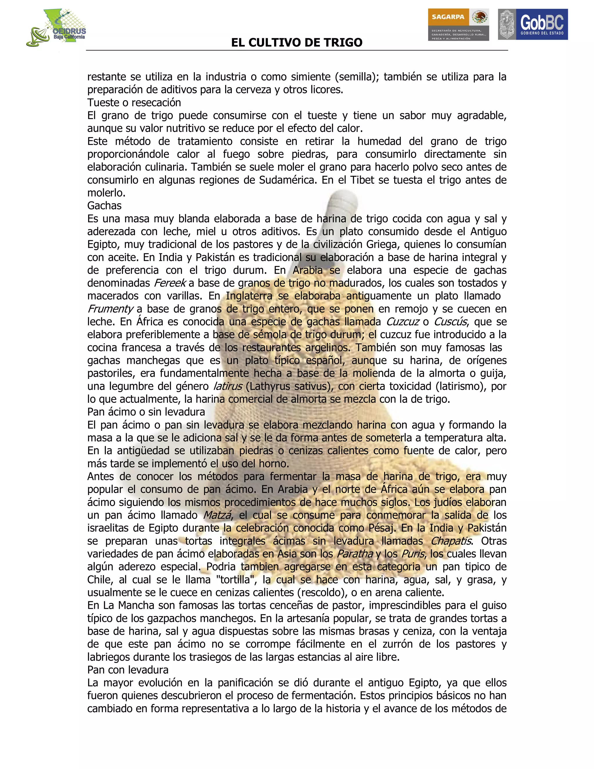 El cultivotrigo | PDF | Agriculture | Industries