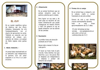 El cuy triptico | DOC