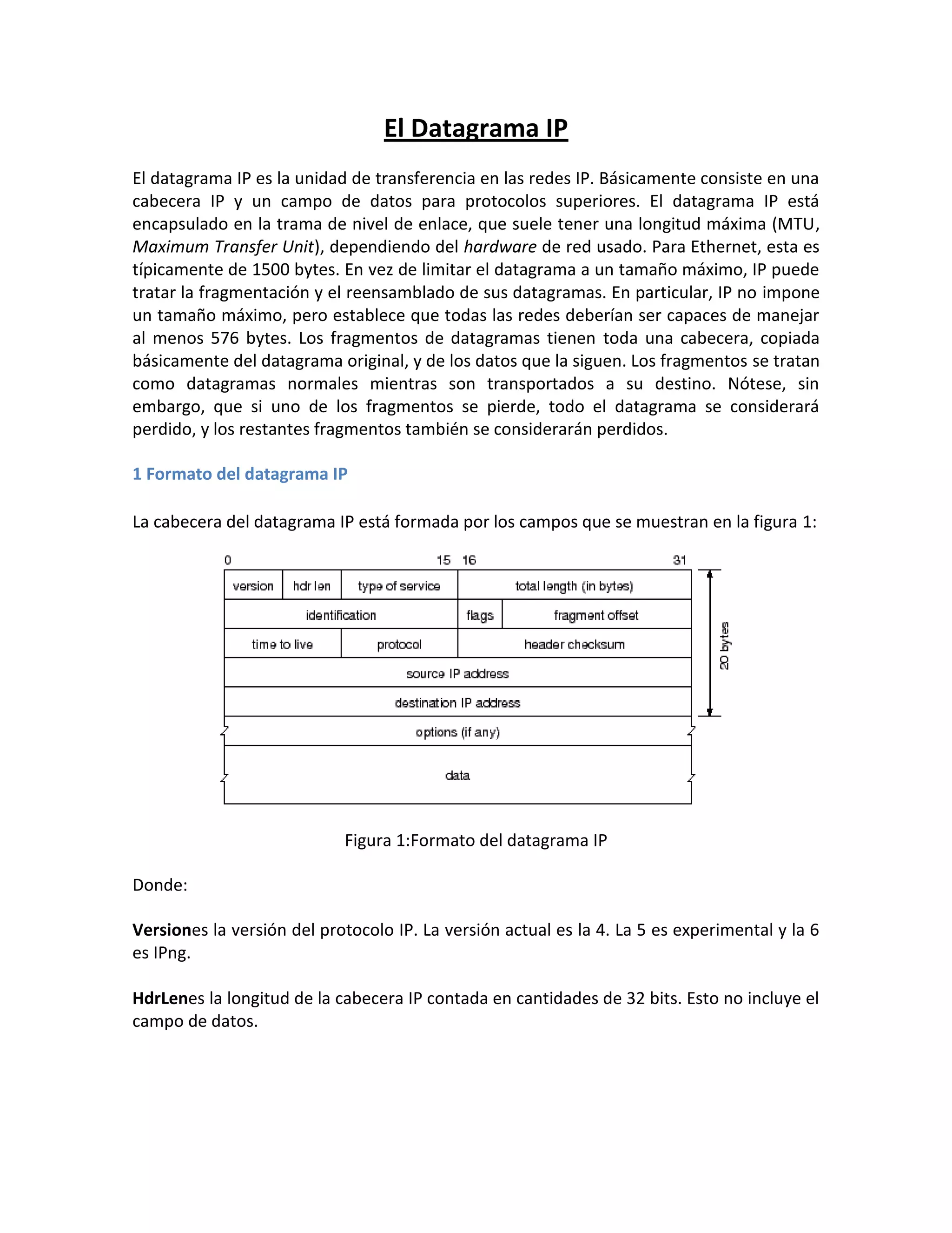 El datagrama ip | DOCX