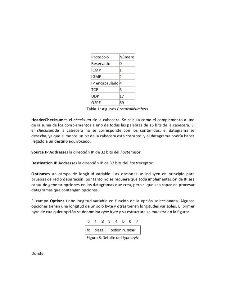 El datagrama ip El datagrama ip