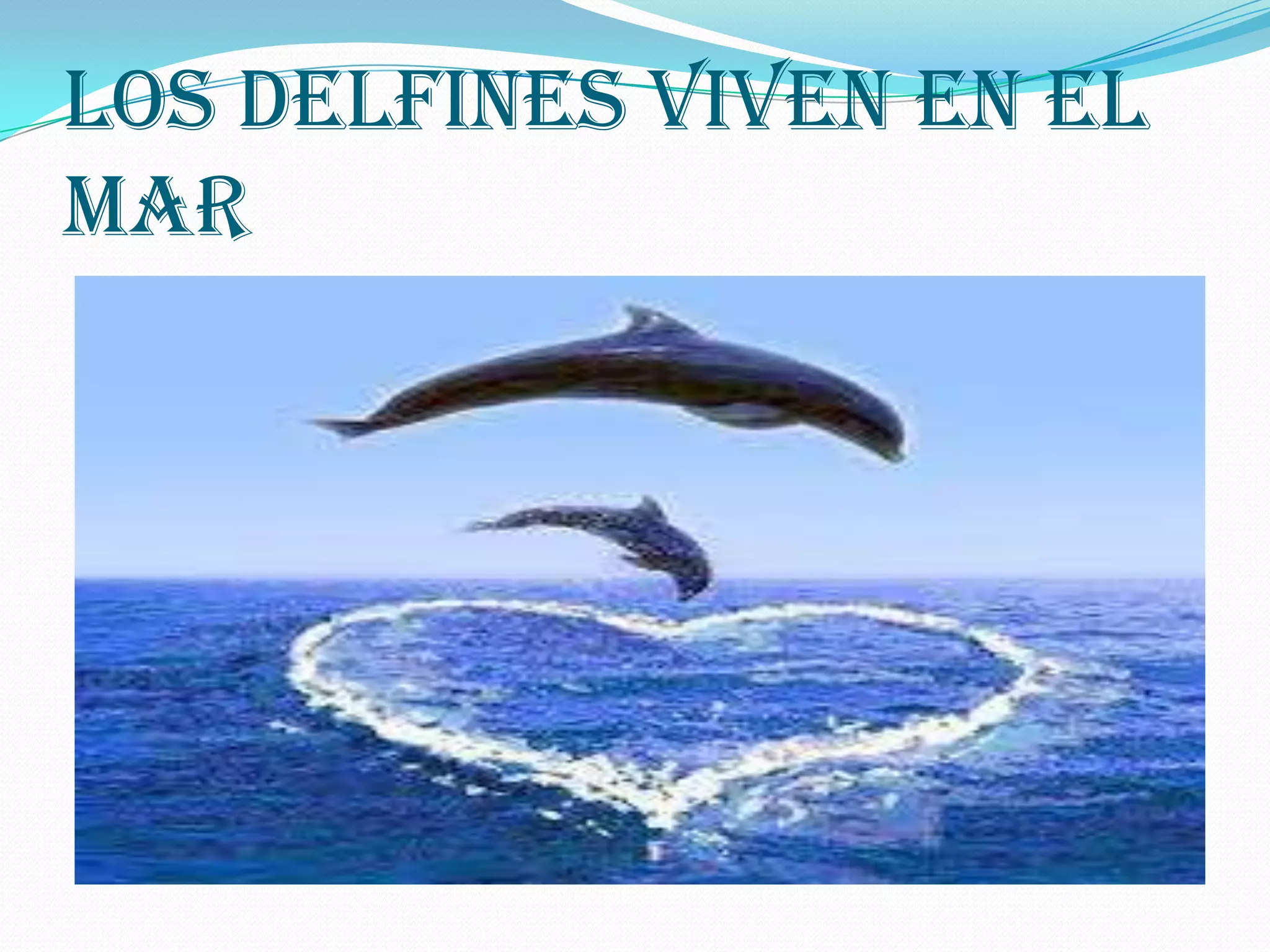 El delfin listo