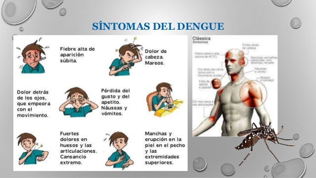 modulo IV : Campaña contra el dengue