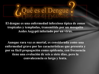 El dengue Venezuela en la actualidad 2.014