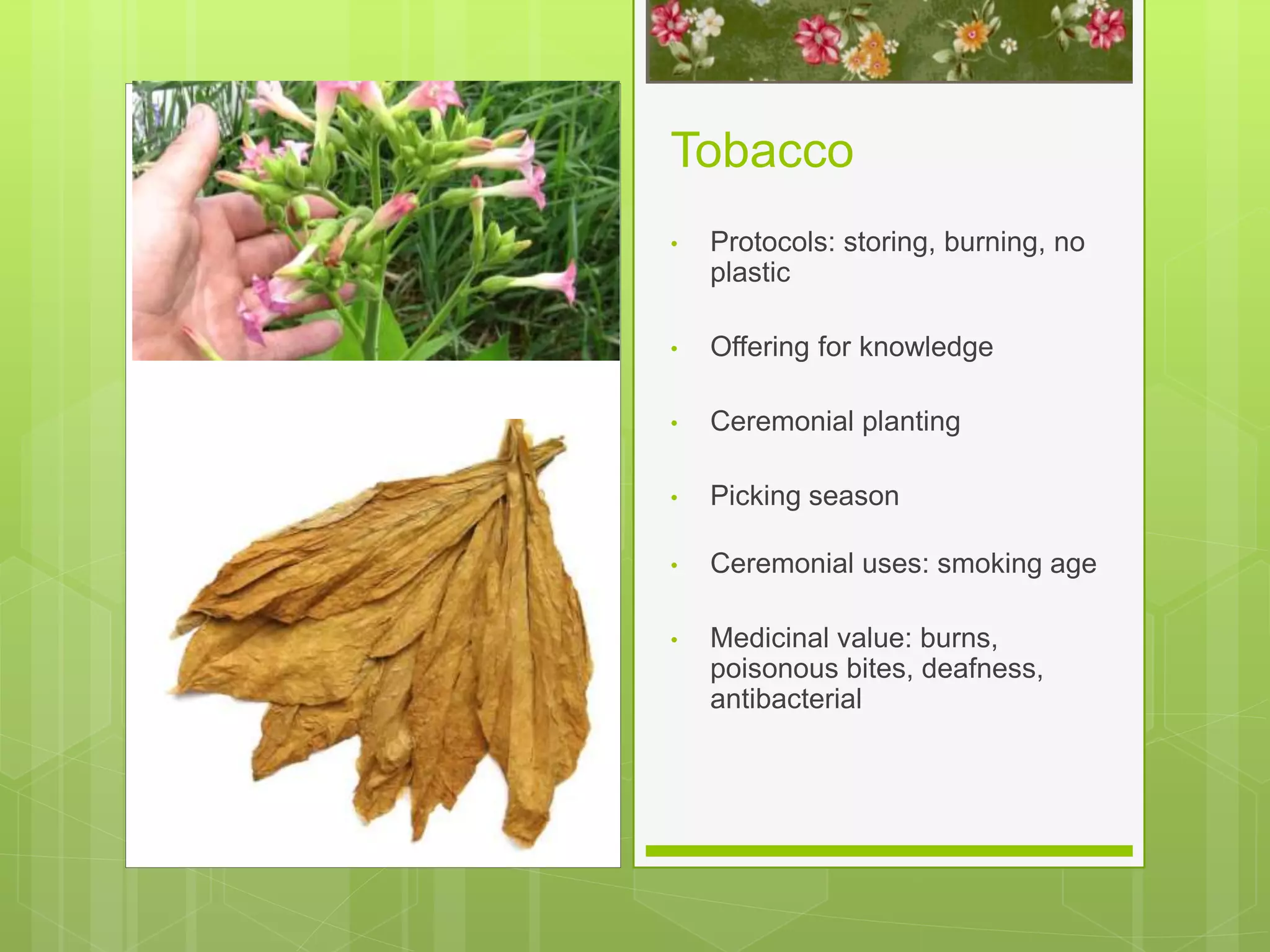 Medicine Plants - Medicinal Ceremony | PPTX