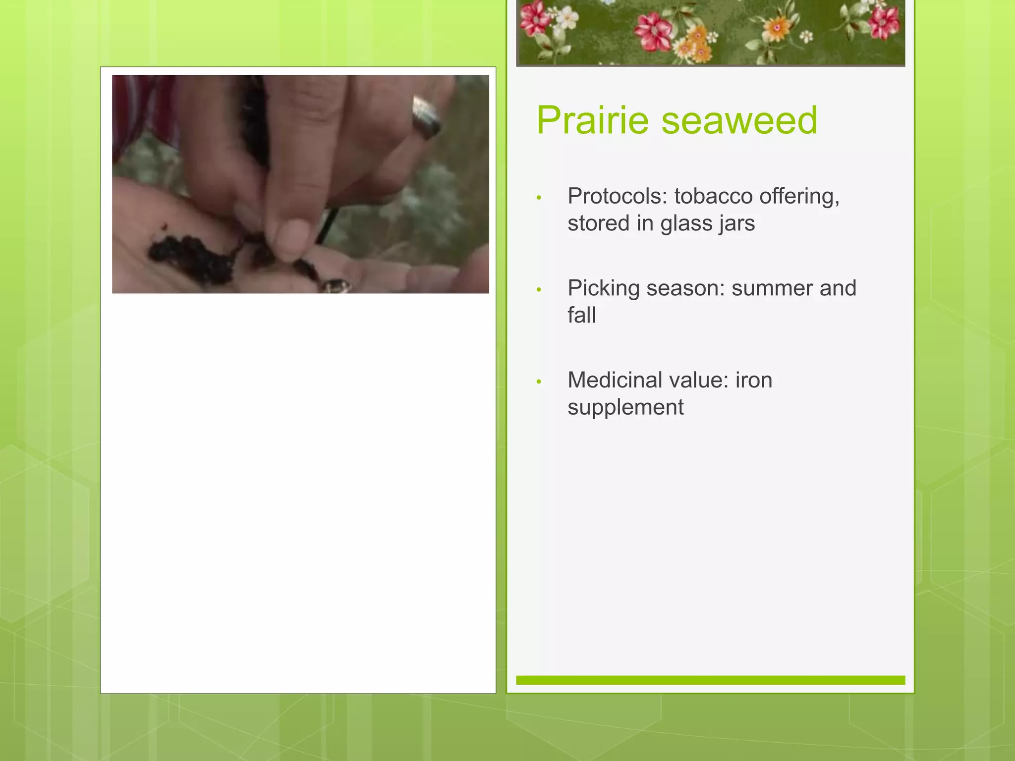 Medicine Plants - Medicinal Ceremony | PPTX