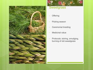 Medicine Plants - Medicinal Ceremony | PPTX