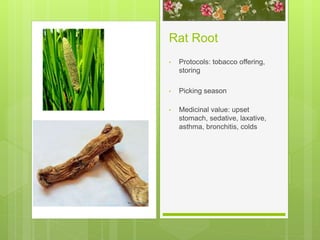 Medicine Plants - Medicinal Ceremony | PPTX