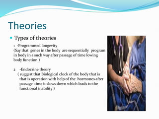 elderly client HAIIand it's technically equipment | PPTX