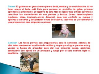 El desarrollo motriz y sus caracterisiticas | PPT