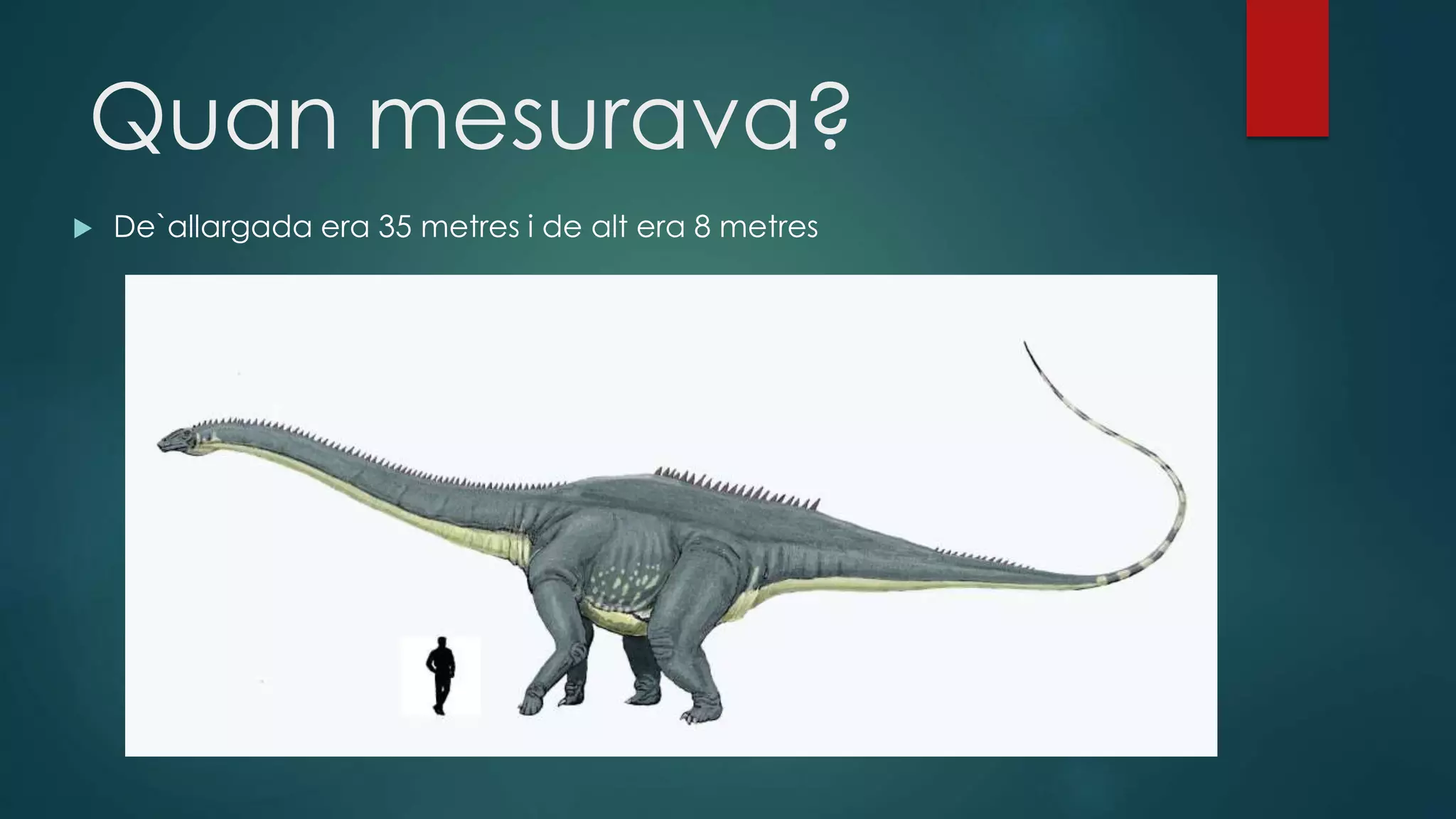 El diplodocus Montse Viedma | PPTX