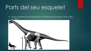 El diplodocus Montse Viedma | PPTX