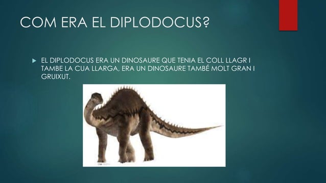 El diplodocus Montse Viedma | PPT