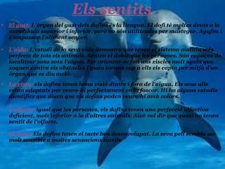 El dofi | PPT