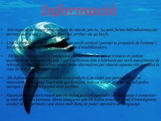 El dofi | PPT