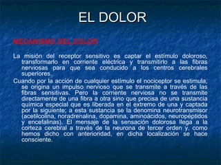 El dolor | PPT