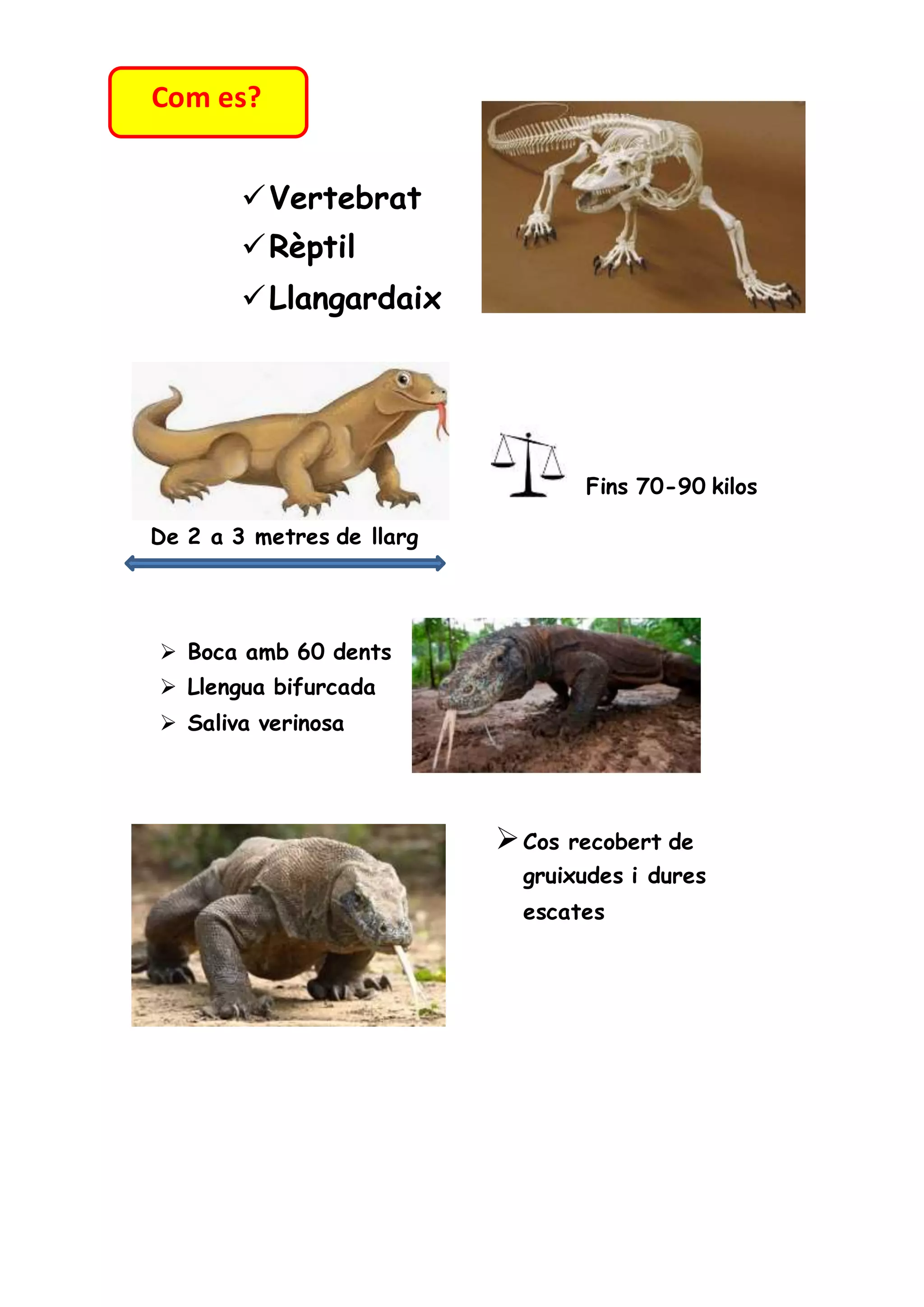 El Dragó de Komodo | DOCX