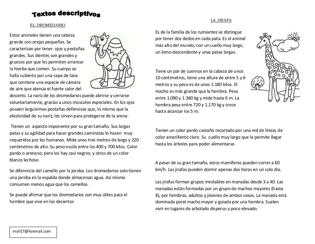 Textos Descriptivos Ddd