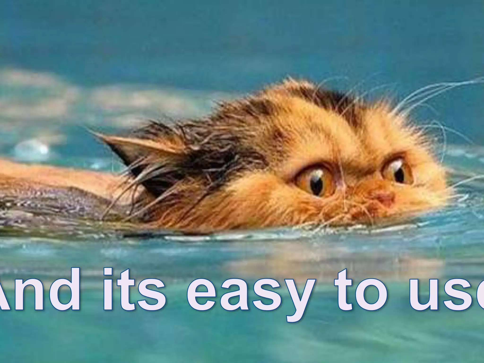 Why Powerpoint? | PPTX