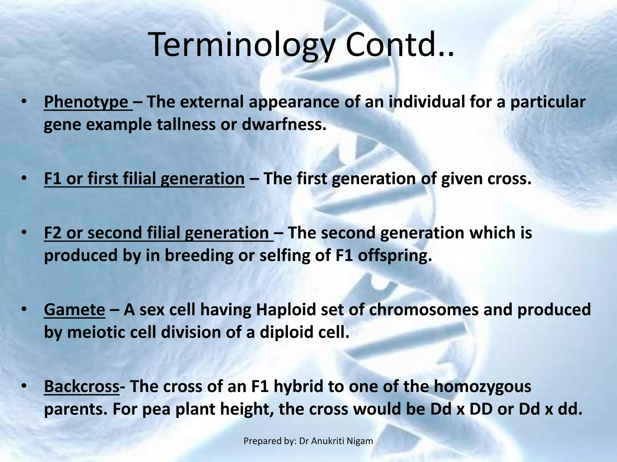 Introduction to Mendelian Genetics | PPTX