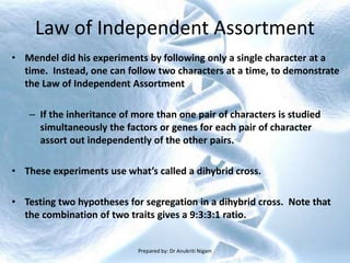 Introduction to Mendelian Genetics | PPTX