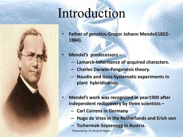 Introduction to Mendelian Genetics | PPTX | Genetics | Science
