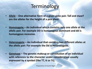 Introduction to Mendelian Genetics | PPTX
