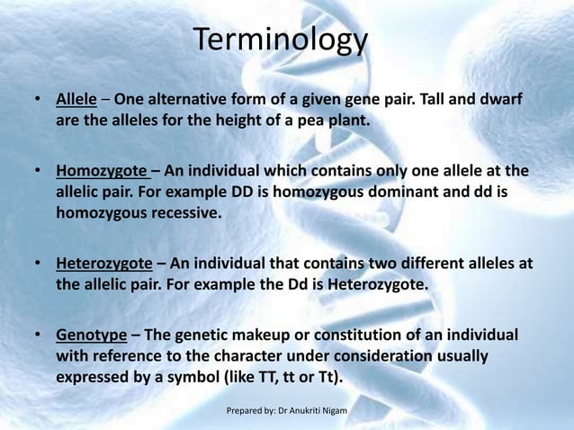 Introduction to Mendelian Genetics | PPTX | Genetics | Science