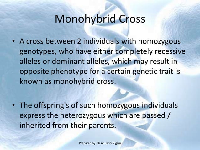 Introduction to Mendelian Genetics | PPTX | Genetics | Science