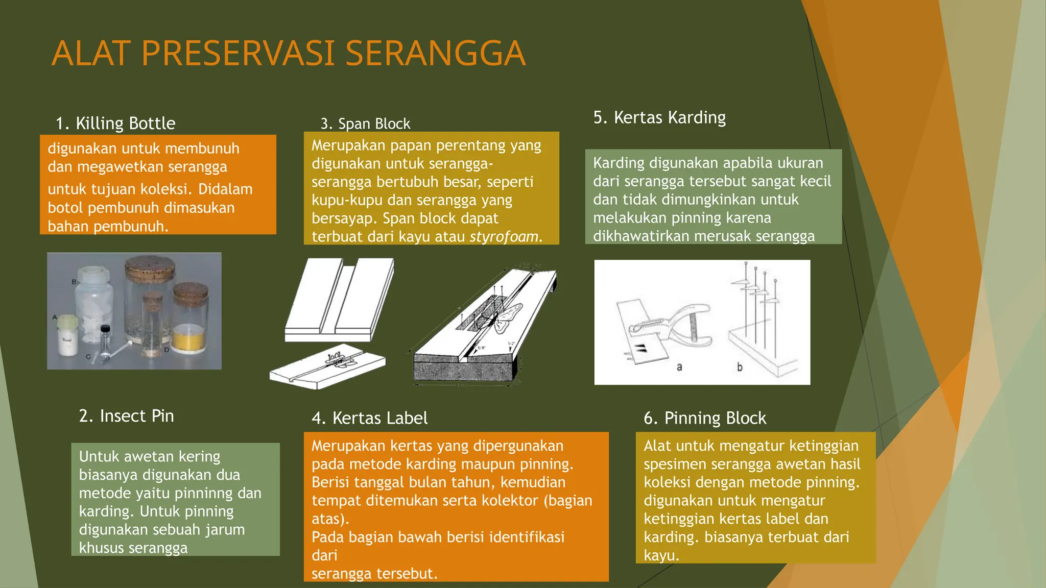 Koleksi Serangga dan pengawetan serangga hama | PPTX