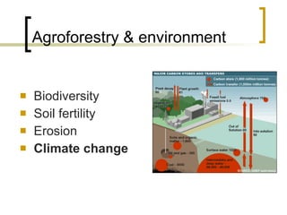 E Learning For Agroforestry | PPT | Agriculture | Industries