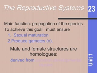 E learning repro sys | PPT