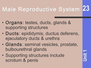 E learning repro sys | PPT