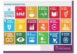 ELEC2017 2.3 t. sinha - implementing lean through a lean ambassadors ...