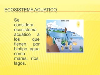 El ecosistema | PPT
