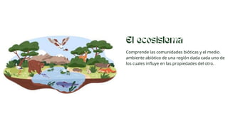 el ecosistema proyecto de ecologia.pptxs | PPTX