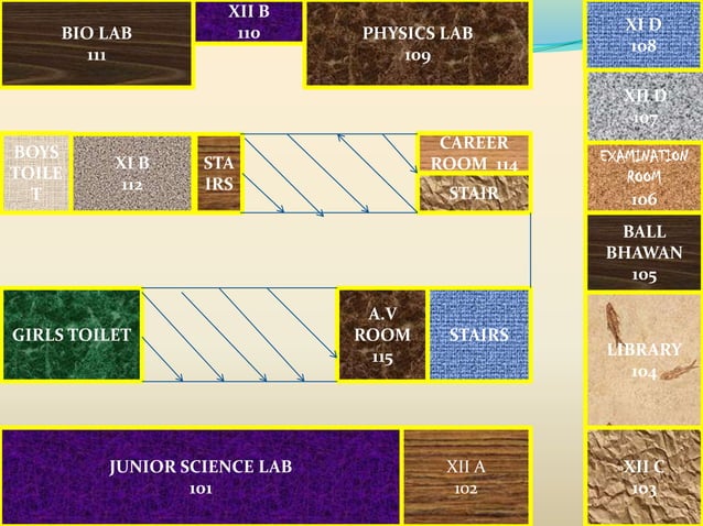 Electical infrastructure of rpvv(maths project) | PPTX