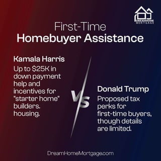 Understanding the Election Process: A Visual Guide | PDF | Free Download